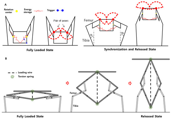 A Miniature Jumping Robot Using Froghopper’s Direction-Changing Concept