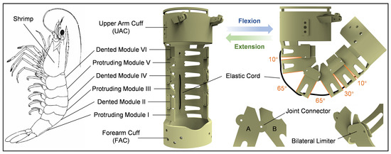 Biomimetic Design and Validation of an Adaptive Cable-Driven Elbow ...