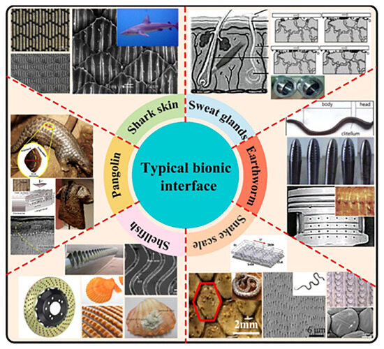 Tribological Effects of Surface Biomimetic Micro–Nano Textures on Metal ...