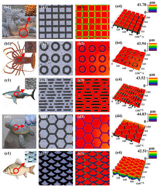 Tribological Effects of Surface Biomimetic Micro–Nano Textures on Metal ...