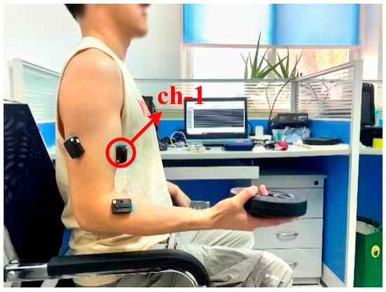 Characterization of Muscle Fatigue Degree in Cyclical Movements Based ...