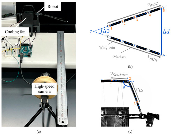 A Biomimetic Flapping Mechanism for Insect Robots Driven by Indirect ...