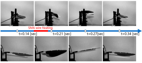 A Biomimetic Flapping Mechanism for Insect Robots Driven by Indirect ...