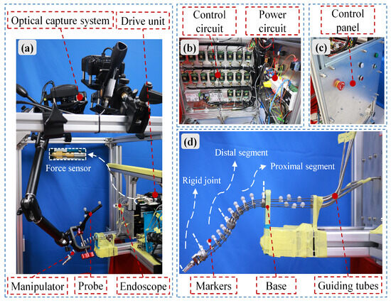 Design, Modeling, and Experimental Validation of a Bio-Inspired Rigid ...