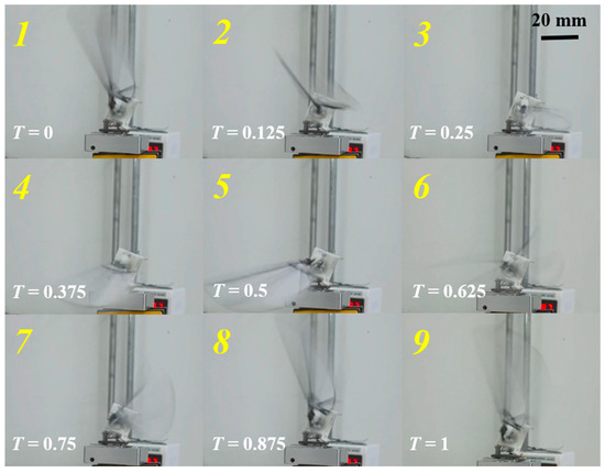 Development of a Dragonfly-Inspired High Aerodynamic Force Flapping ...