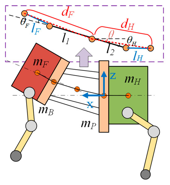 Coordinated Locomotion Control for a Quadruped Robot with Bionic Parallel Torso