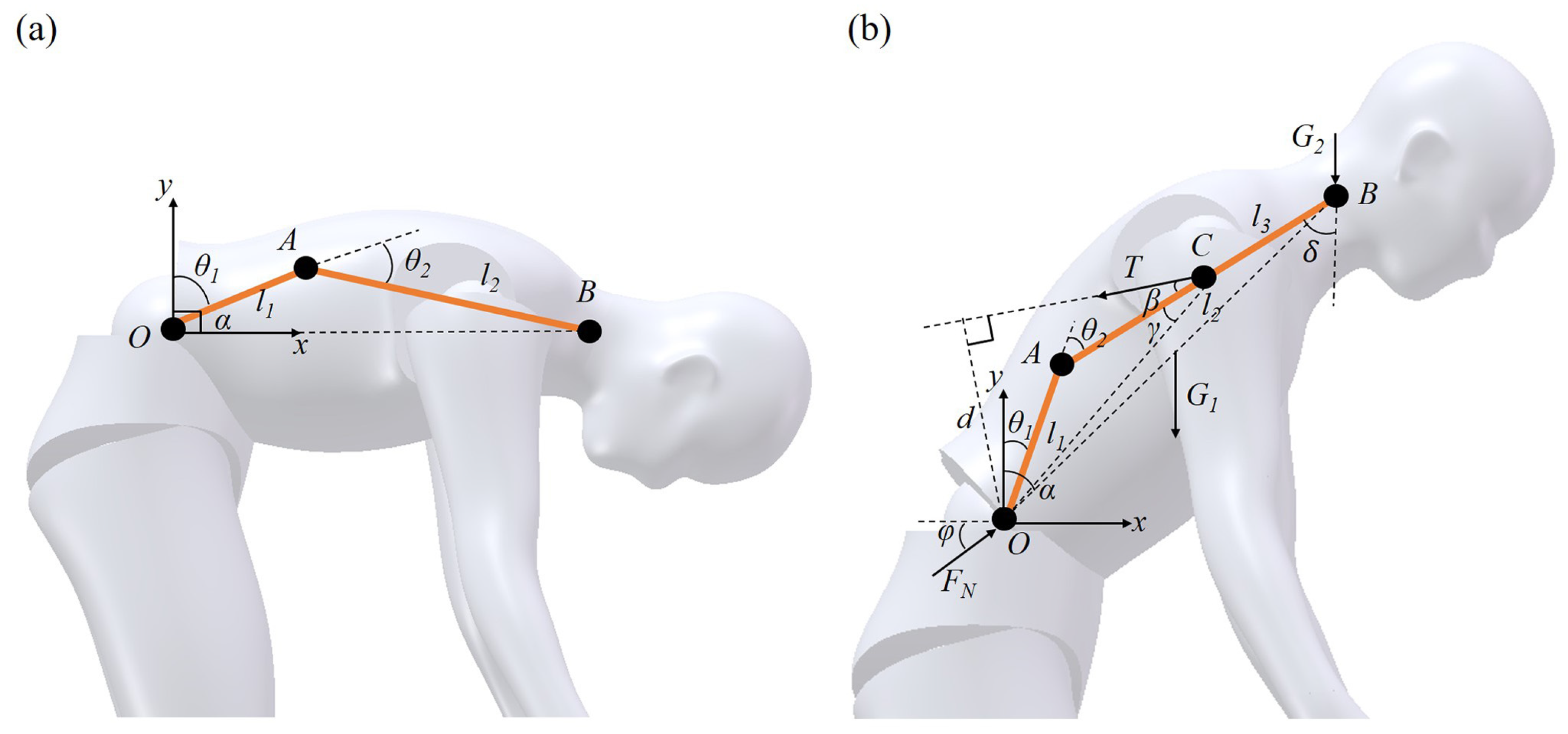Development of a Passive Back-Support Exoskeleton Mimicking Human Spine ...