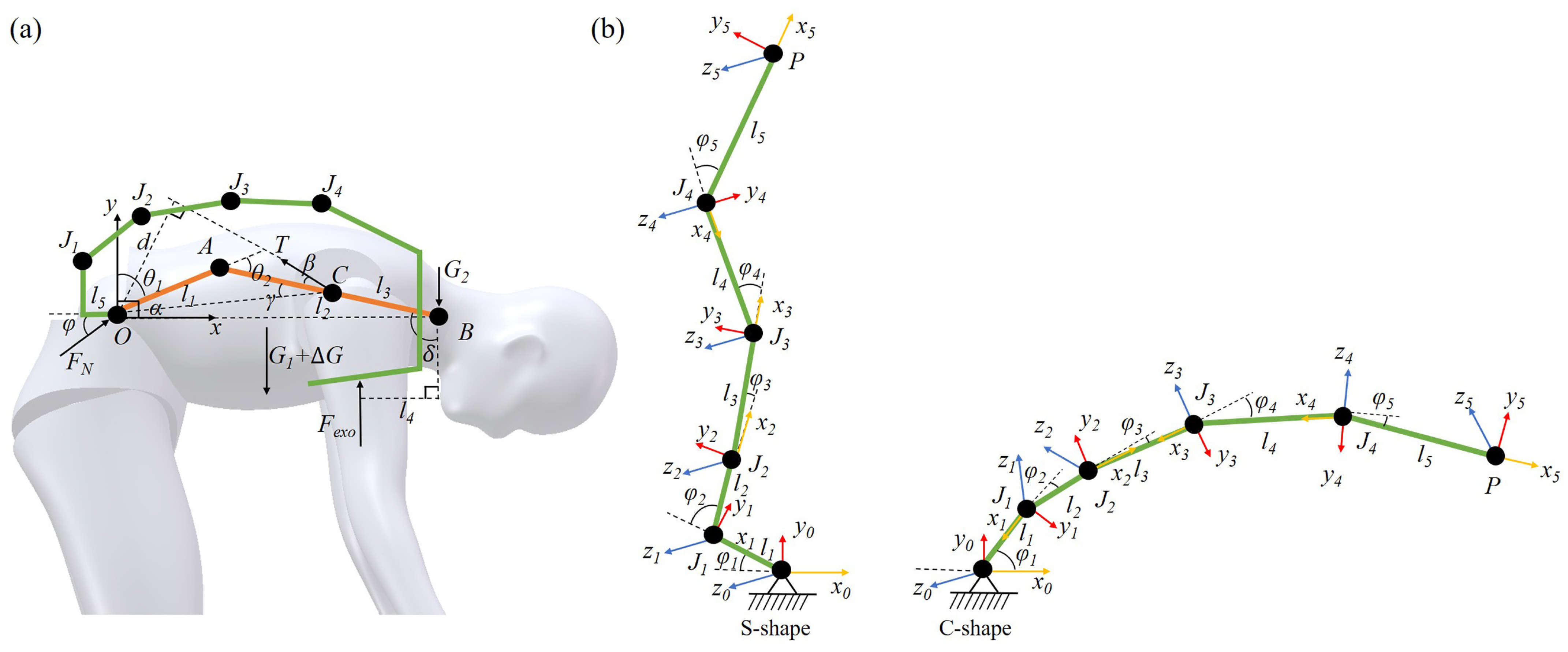 Development of a Passive Back-Support Exoskeleton Mimicking Human Spine ...