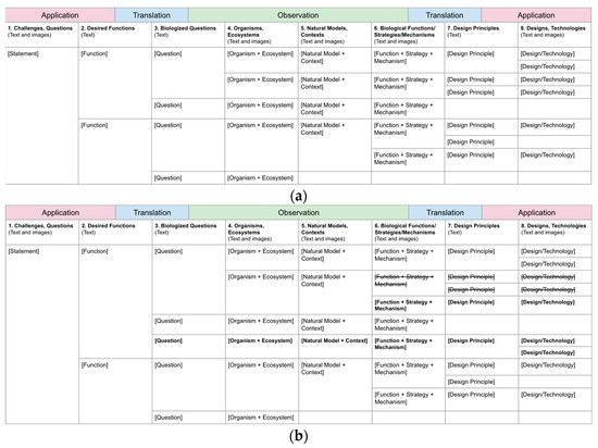 A Design Process Framework and Tools for Teaching and Practicing Biomimicry