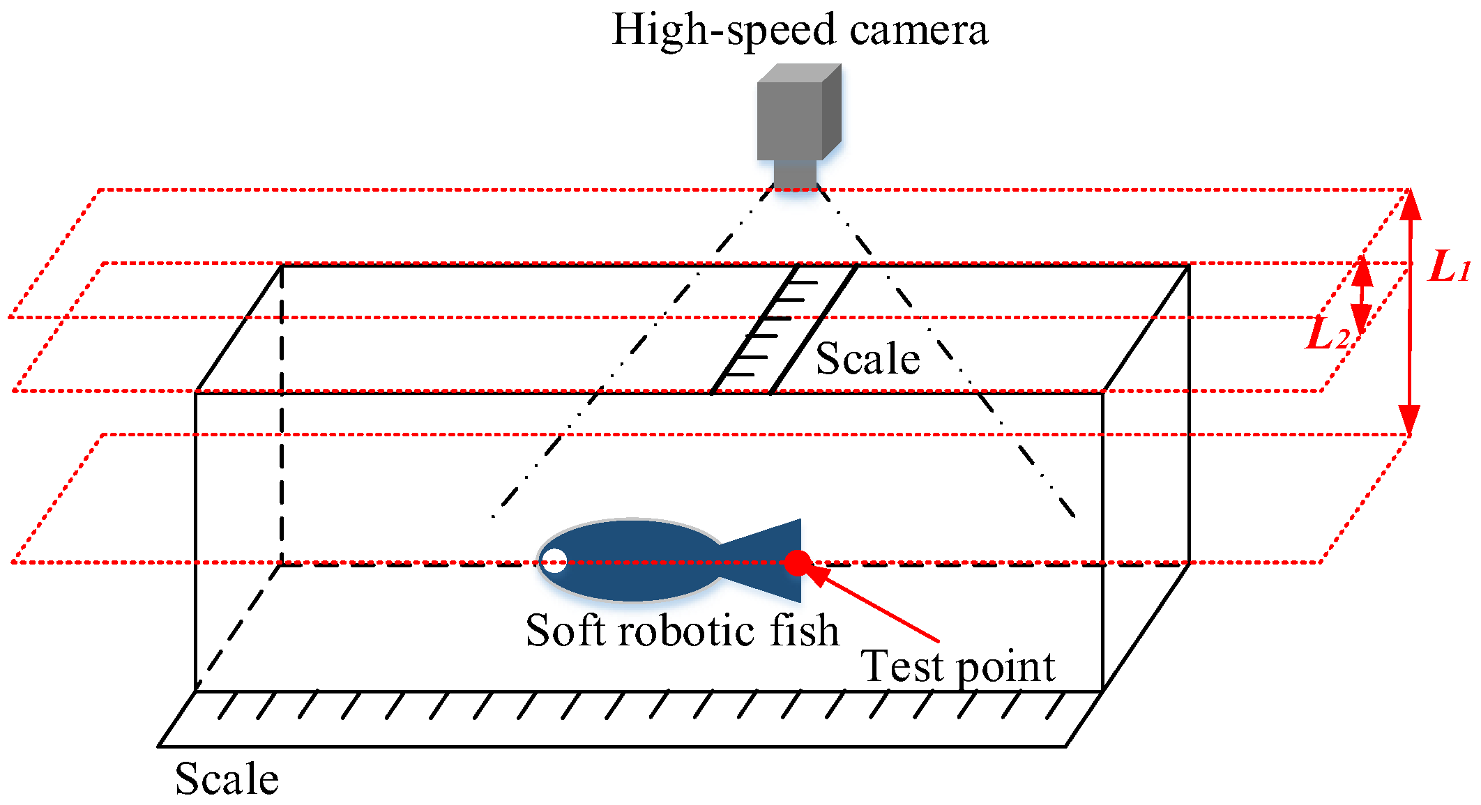 Fluid–Structure Interaction Analysis of a Bionic Robotic Fish Based on a Macrofiber Composite ...