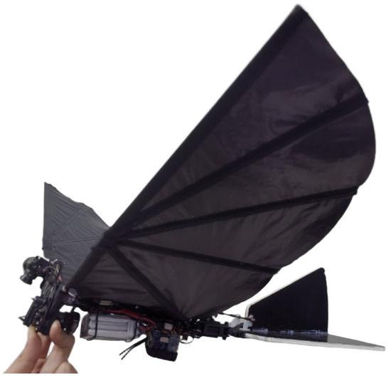 Multimodal Fusion Image Stabilization Algorithm for Bio-Inspired Flapping-Wing Aircraft