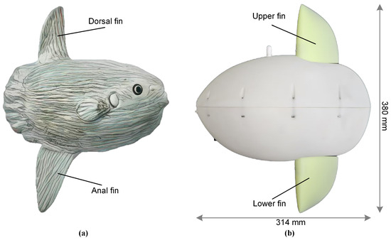 Coordinated Dual-Fin Actuation of Bionic Ocean Sunfish Robot for Multi ...