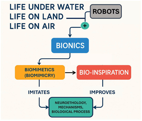 Aerospace Bionic Robotics: BEAM-D Technical Standard of Biomimetic ...