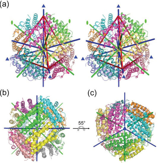 Biomolecules | Free Full-Text | Structures and Metal-Binding Properties ...