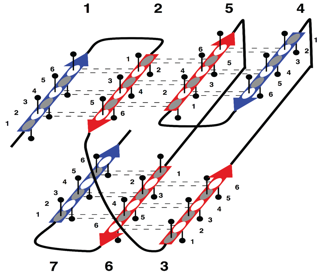Amino Acid Distribution Rules Predict Protein Fold: Protein Grammar for Beta-Strand Sandwich ...