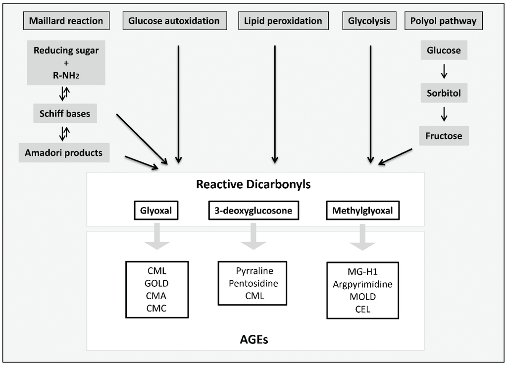 Advanced Glycation End Products and Oxidative Stress in Type 2 Diabetes ...