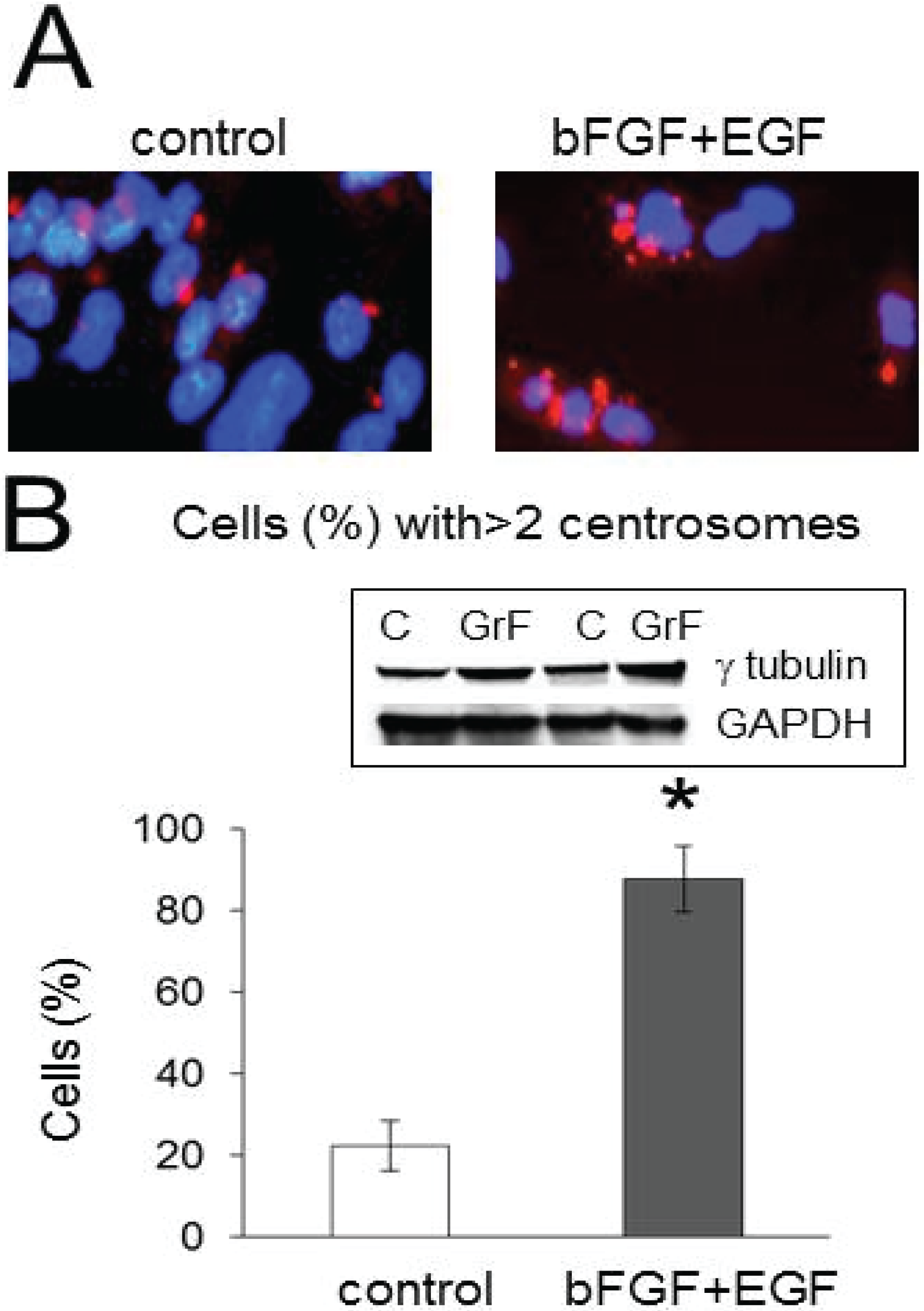 Biomolecules Free Full Text Growth Factor Dependent Regulation Of