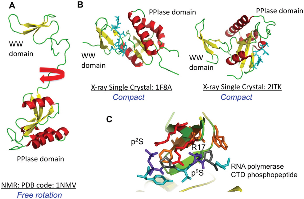 Biomolecules Special Issue Rna Binding Proteins—structure Function