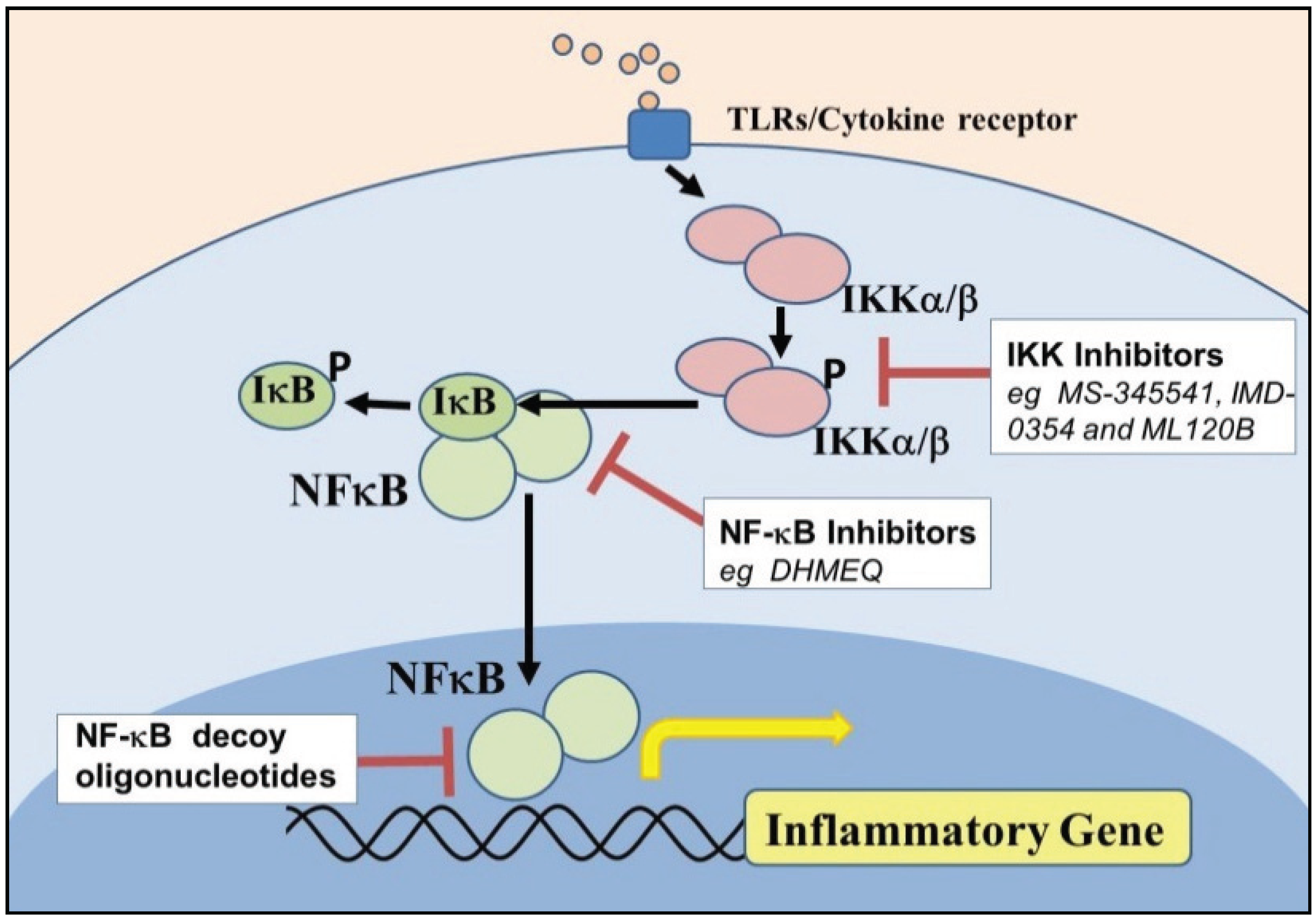 Labdabīgi girdap Seletøy inhibitor kappa b - pydinfo.com Labdabīgi girdap Seletøy inhibitor kappa b - pydinfo.com