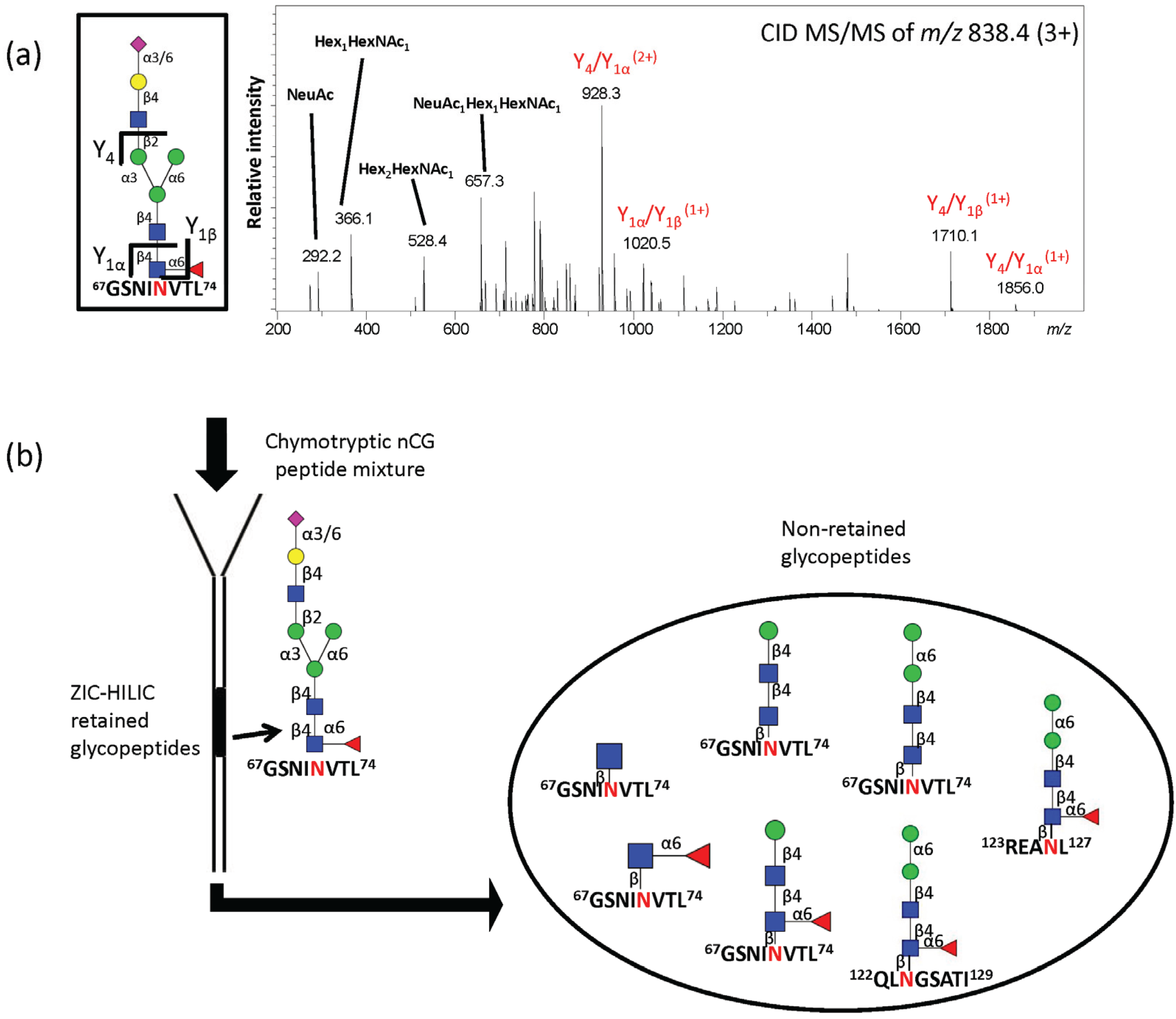 Biomolecules Free Full Text Complementary Lc Ms Ms Based N Glycan