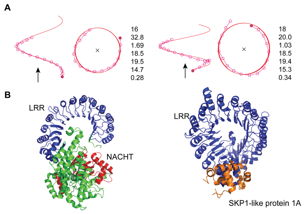 Comparative Geometrical Analysis of Leucine-Rich Repeat Structures in ...