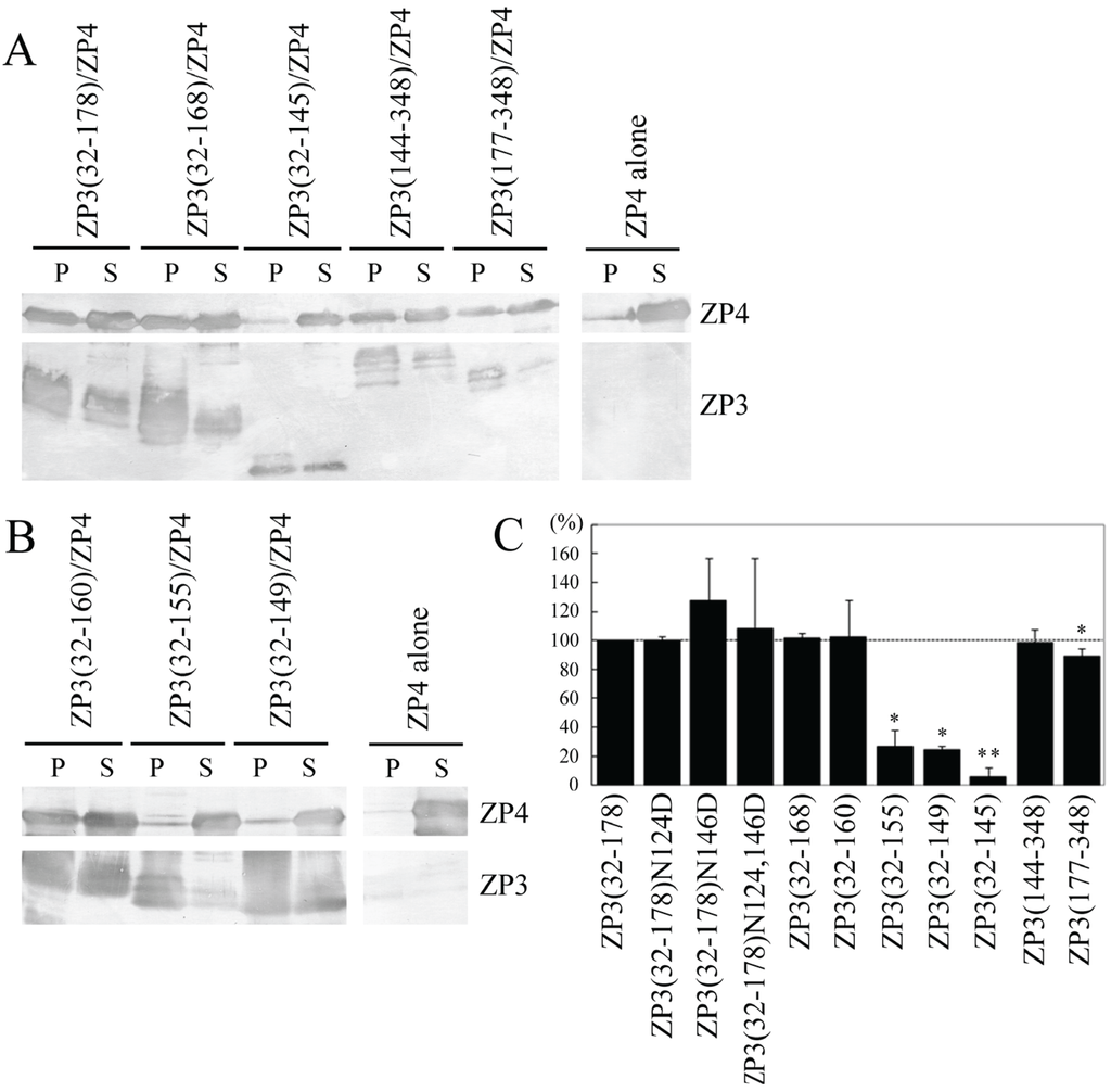 The Hinge Region of Bovine Zona Pellucida Glycoprotein ZP3 Is Involved ...