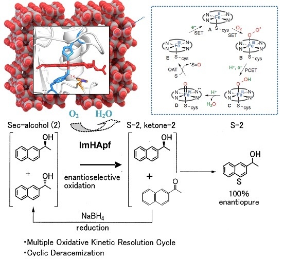 Biomolecules | Special Issue : Advances in Heme Proteins