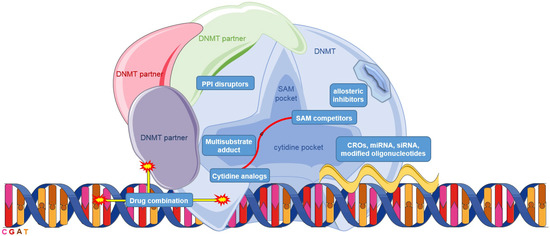 DNA Methylation Targeting: The DNMT/HMT Crosstalk Challenge