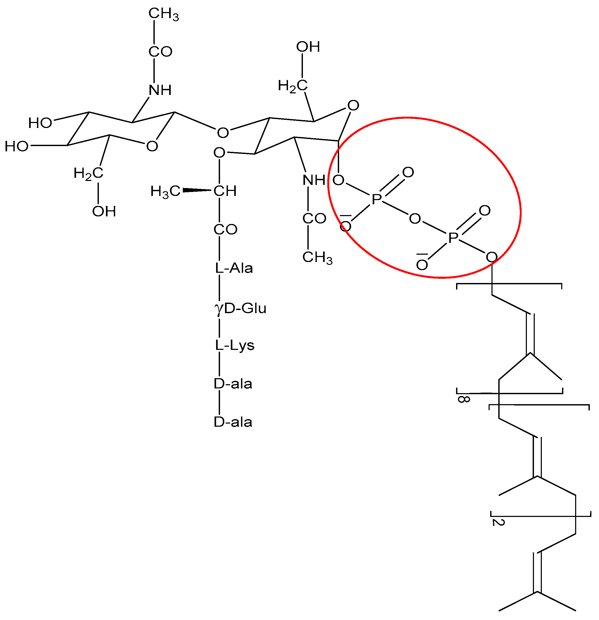Biomolecules Free Full Text Antimicrobial Peptides Diversity
