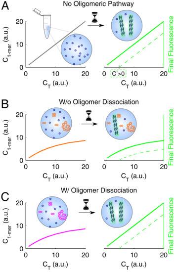 Biomolecules | Free Full-Text | Probing the Occurrence of Soluble ...