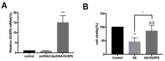Dual Specificity Phosphatase 6 Protects Neural Stem Cells from β-Amyloid-Induced Cytotoxicity ...