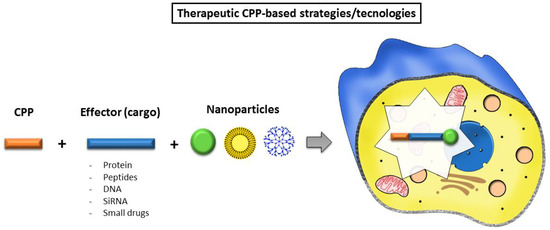 Biomolecules | Free Full-Text | Combination of Cell-Penetrating ...