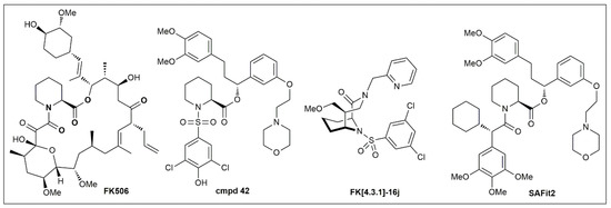 The Many Faces of FKBP51