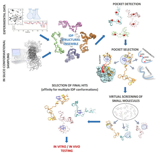 Biomolecules | Free Full-Text | Recent Advances in Computational Protocols Addressing ...