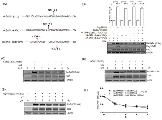 Regulation of the Expression of DAPK1 by SUMO Pathway