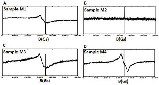 Melanins of Inonotus Obliquus: Bifidogenic and Antioxidant Properties