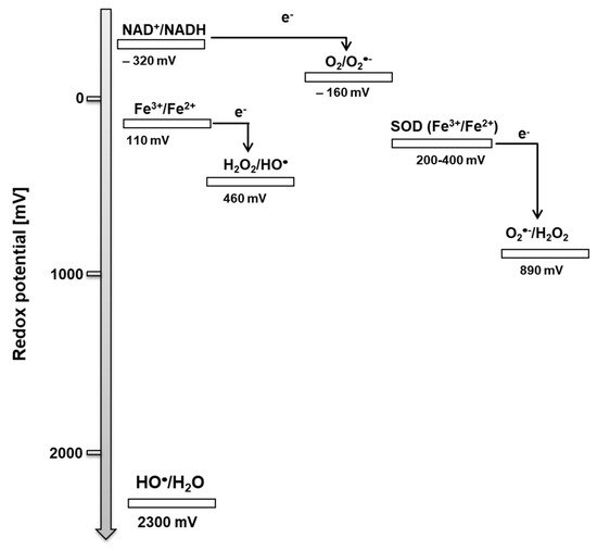 Mechanism of the Formation of Electronically Excited Species by ...