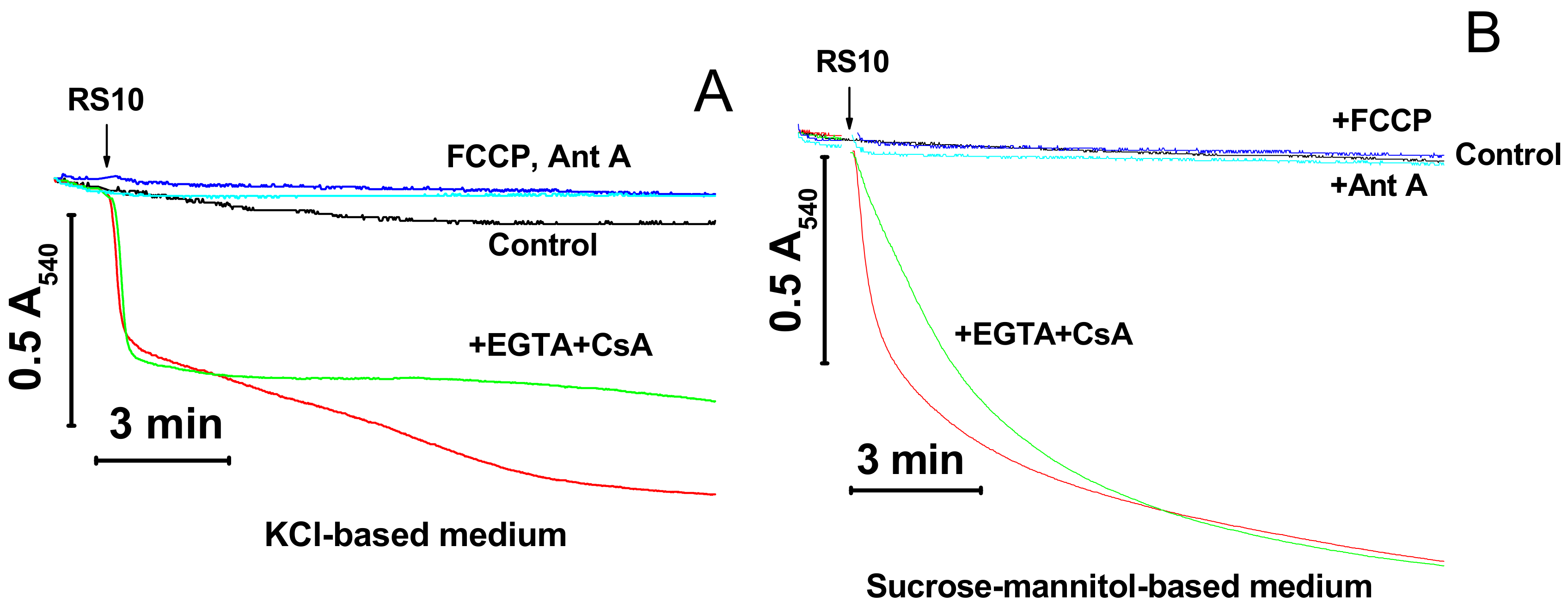 Fusaricidin-Type Compounds Create Pores in Mitochondrial and Plasma ...