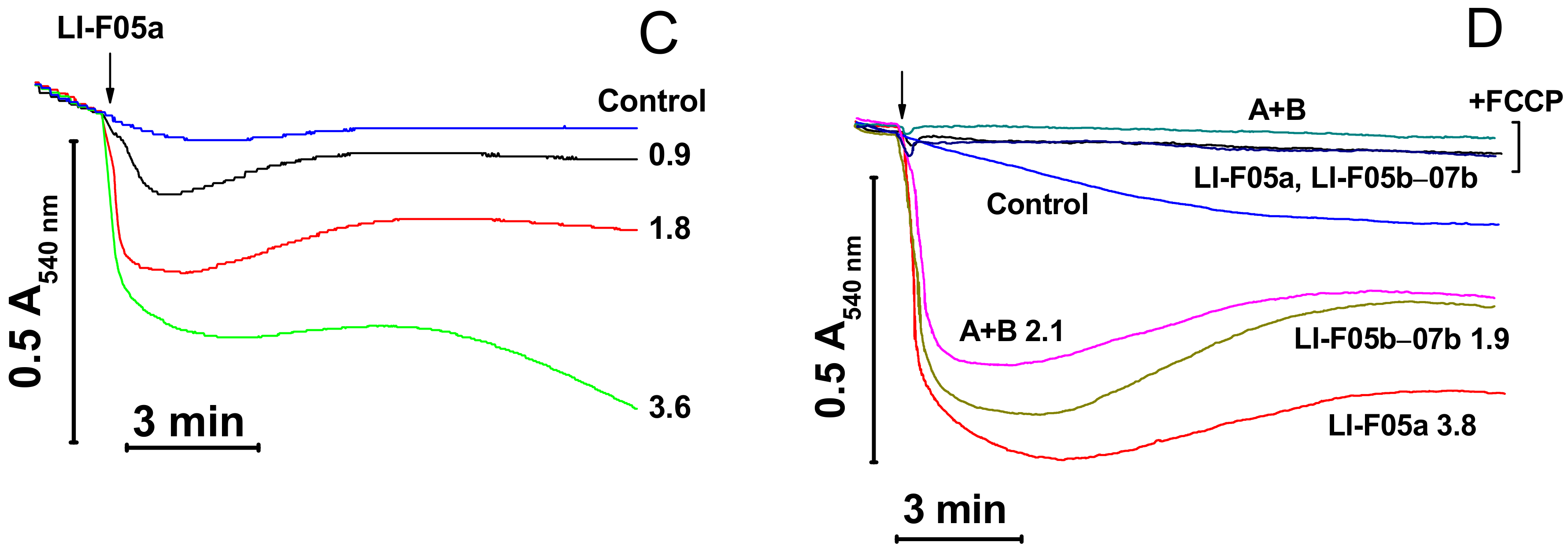Fusaricidin-Type Compounds Create Pores in Mitochondrial and Plasma ...