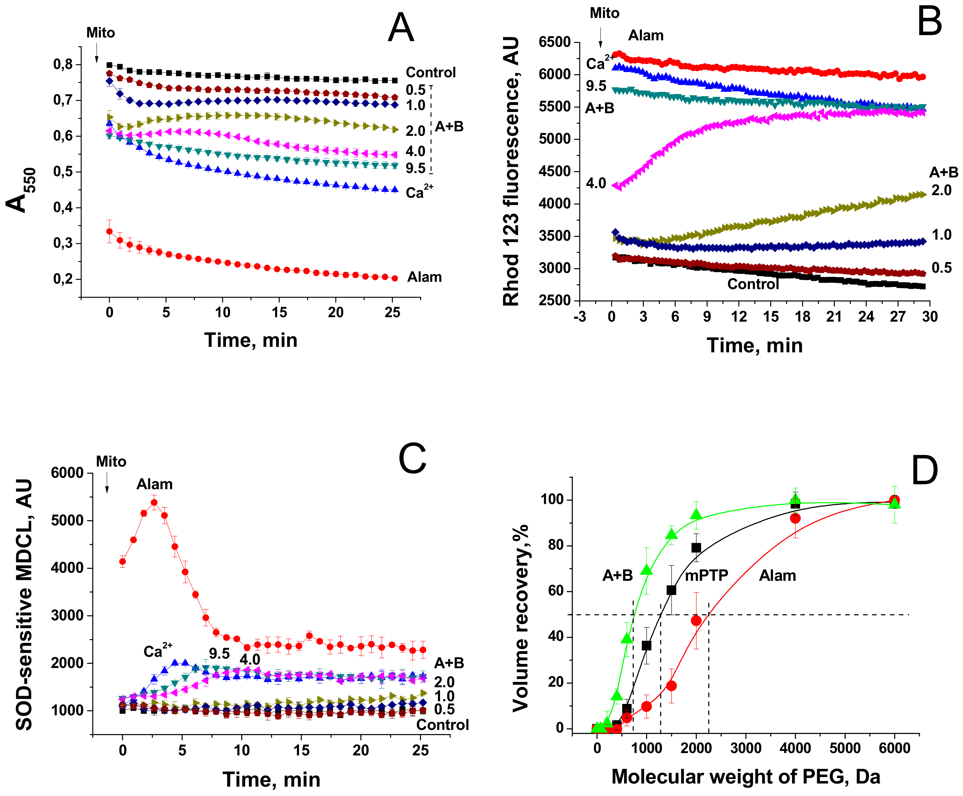 Fusaricidin-Type Compounds Create Pores in Mitochondrial and Plasma ...