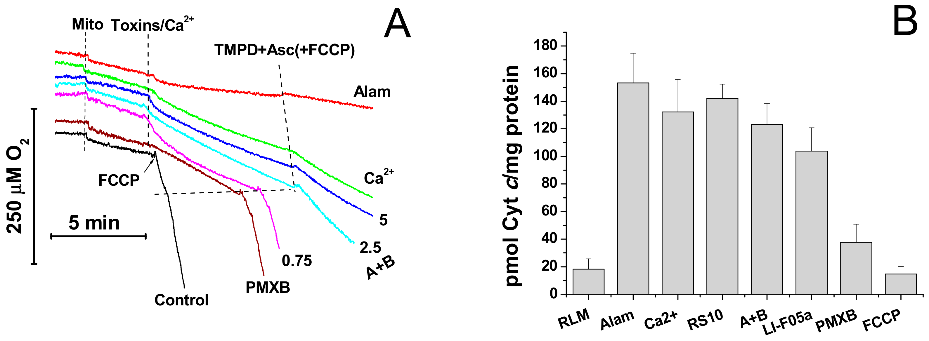 Fusaricidin-Type Compounds Create Pores in Mitochondrial and Plasma ...