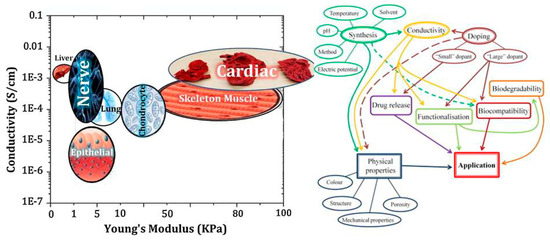 Electrically Conductive Materials: Opportunities and Challenges in ...
