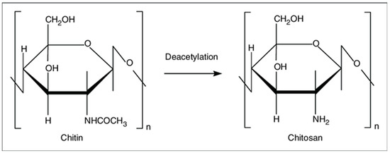 Progress in the Development of Chitosan-Based Biomaterials for Tissue ...
