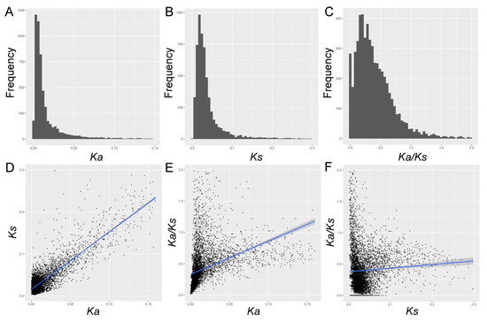 Evolutionary Rate Heterogeneity and Functional Divergence of ...