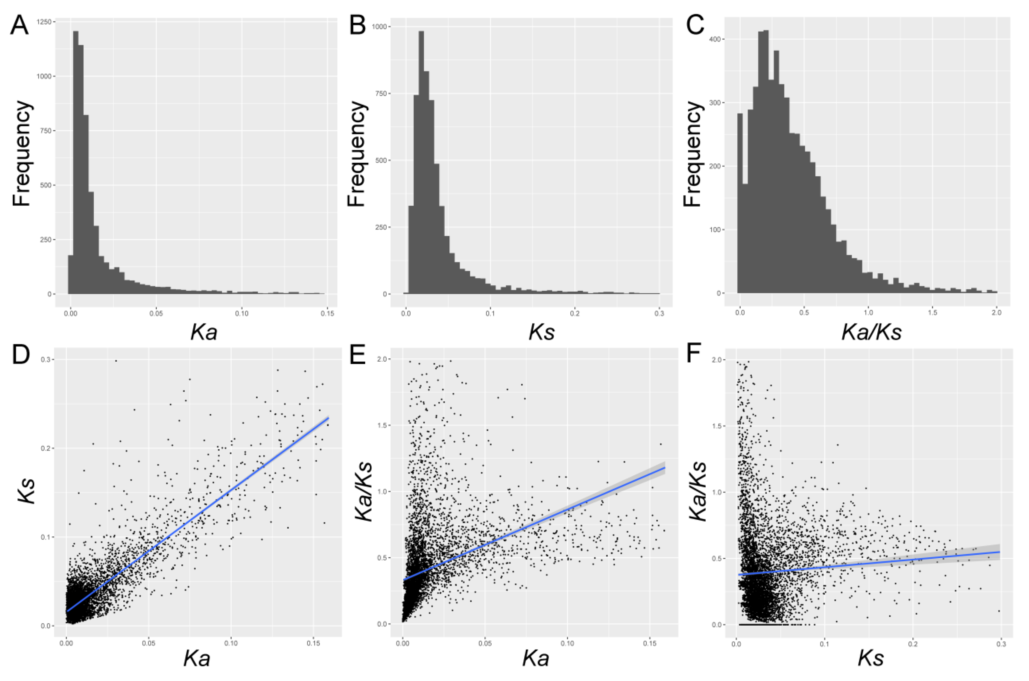 Evolutionary Rate Heterogeneity and Functional Divergence of ...