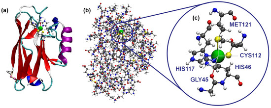 Mechanical Deformation and Electronic Structure of a Blue Copper Azurin ...
