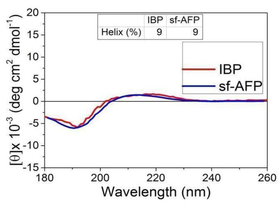 Ice Nucleation Properties of Ice-binding Proteins from Snow Fleas