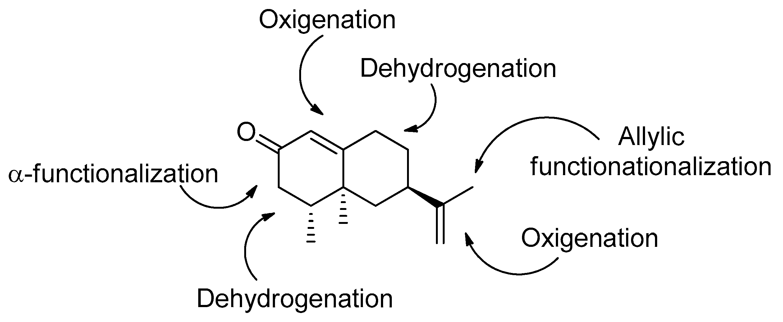 Biomolecules | Free Full-Text | Novel Insect Antifeedant and Ixodicidal ...