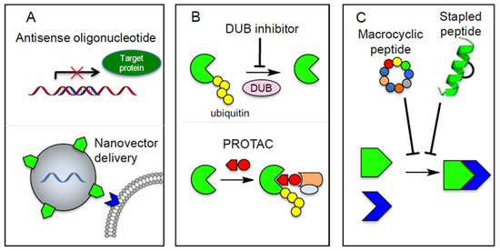 A Perspective on the Development of TGF-β Inhibitors for Cancer Treatment