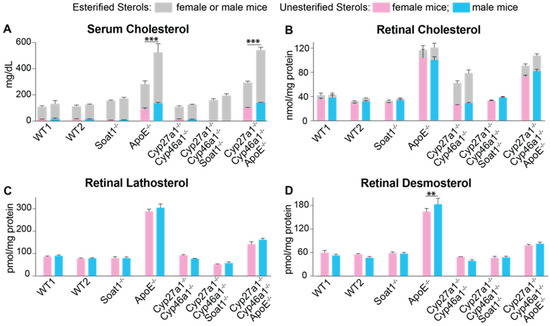 The Interplay between Retinal Pathways of Cholesterol Output and Its ...